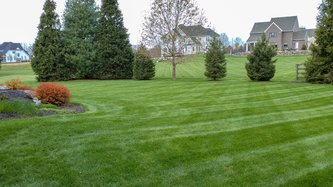 Lawn Mowing - Oasis Lawn and Landscape